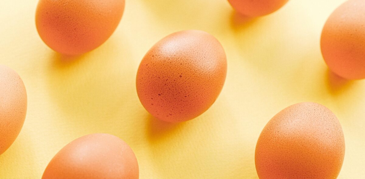 Eieren | Gezond Leven